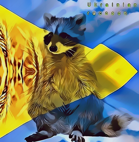 Ukrainian Raccoon | Binance NFT