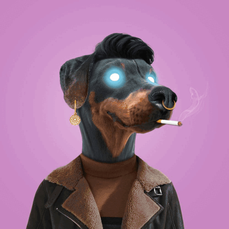 SNOB DOGE | Binance NFT