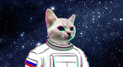 Space Cat | Binance NFT
