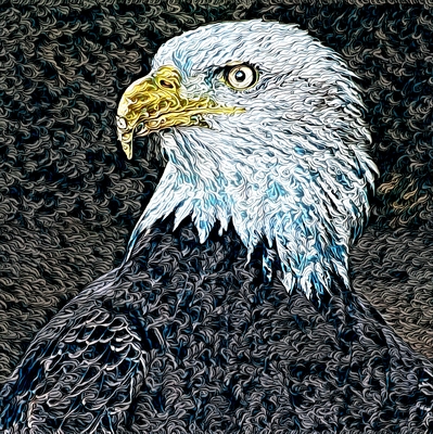 Infinity Animal #8 eagle | Binance NFT
