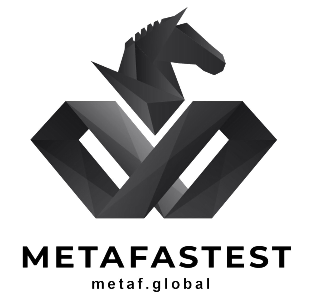 METAFASTEST-VNno2 | Binance NFT