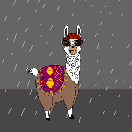 Alpaca #2790 | Binance NFT