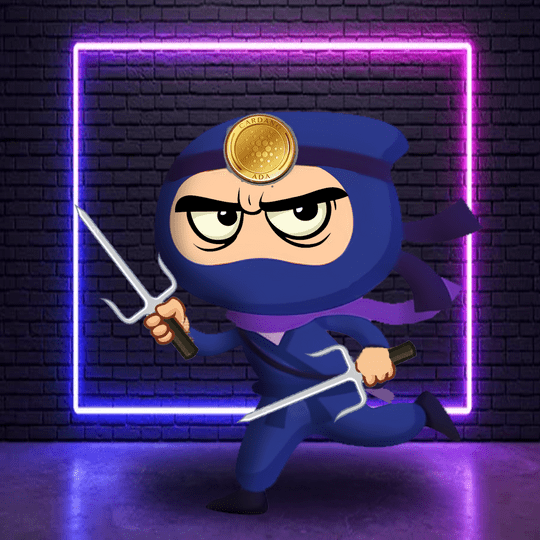 Crypto Ninja #0166 | Binance NFT