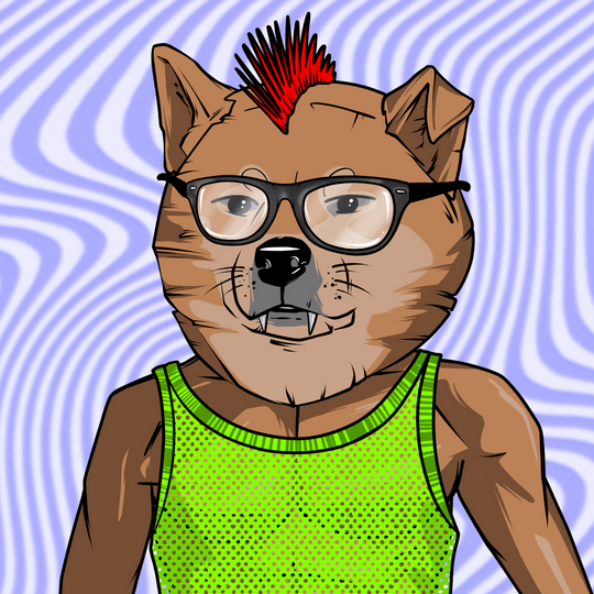 🐕DOGE Gang🐕 | Binance NFT