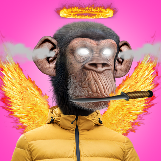 BORED APE ELITE CLUB 1 ️1 #633 | Binance NFT